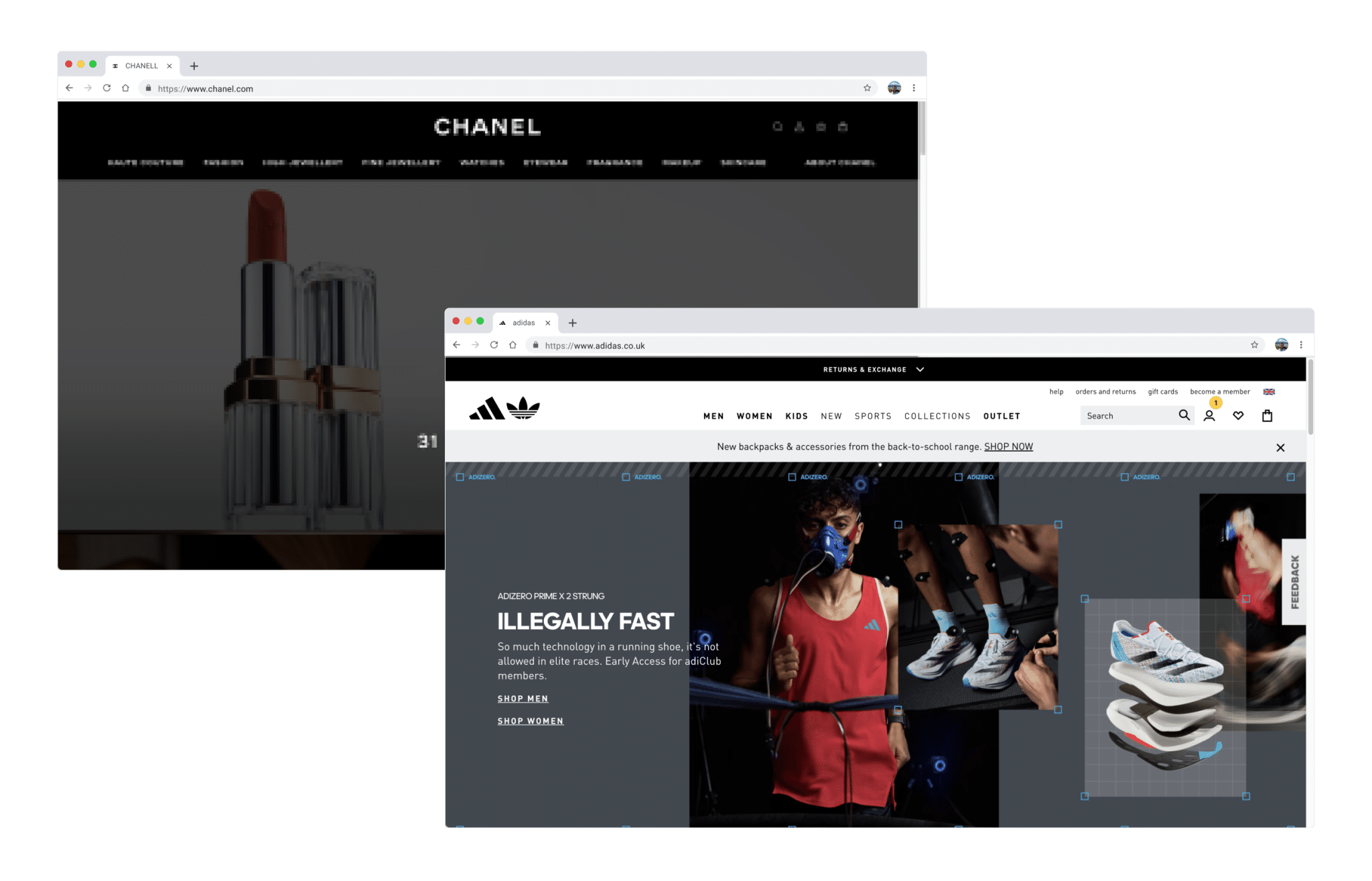 How to Create Captivating Color Palettes for your Website