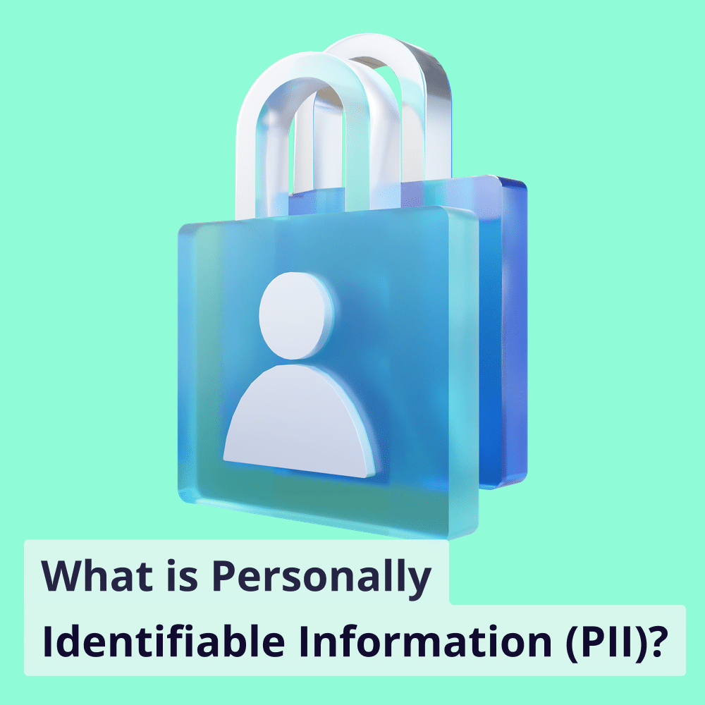 ¿Qué es la Información de Identificación Personal (IIP)?
